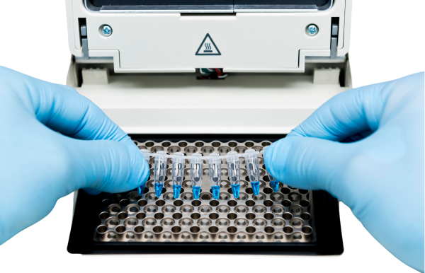 DNA Paternity Test - Results in 1-2 Days | DNA Tests Direct Canada