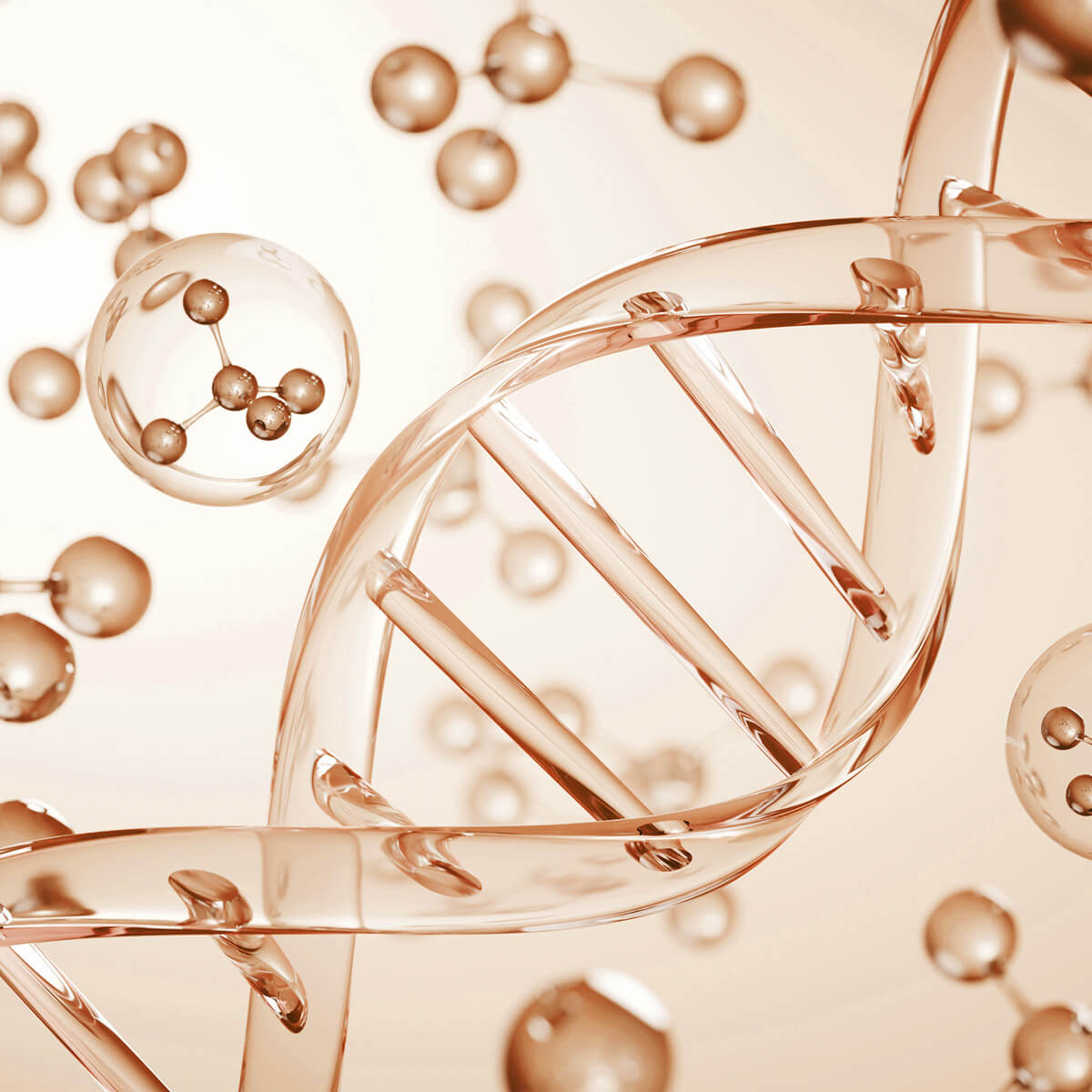 DNA Tests Direct - At-Home DNA Test Kits